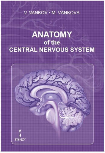 Anatomy of the Central Nervous System