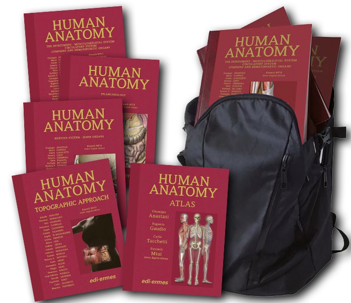 ANATOMY BAG PLUS - TREATISE ON HUMAN ANATOMY (SYSTEMIC APPROACH ...